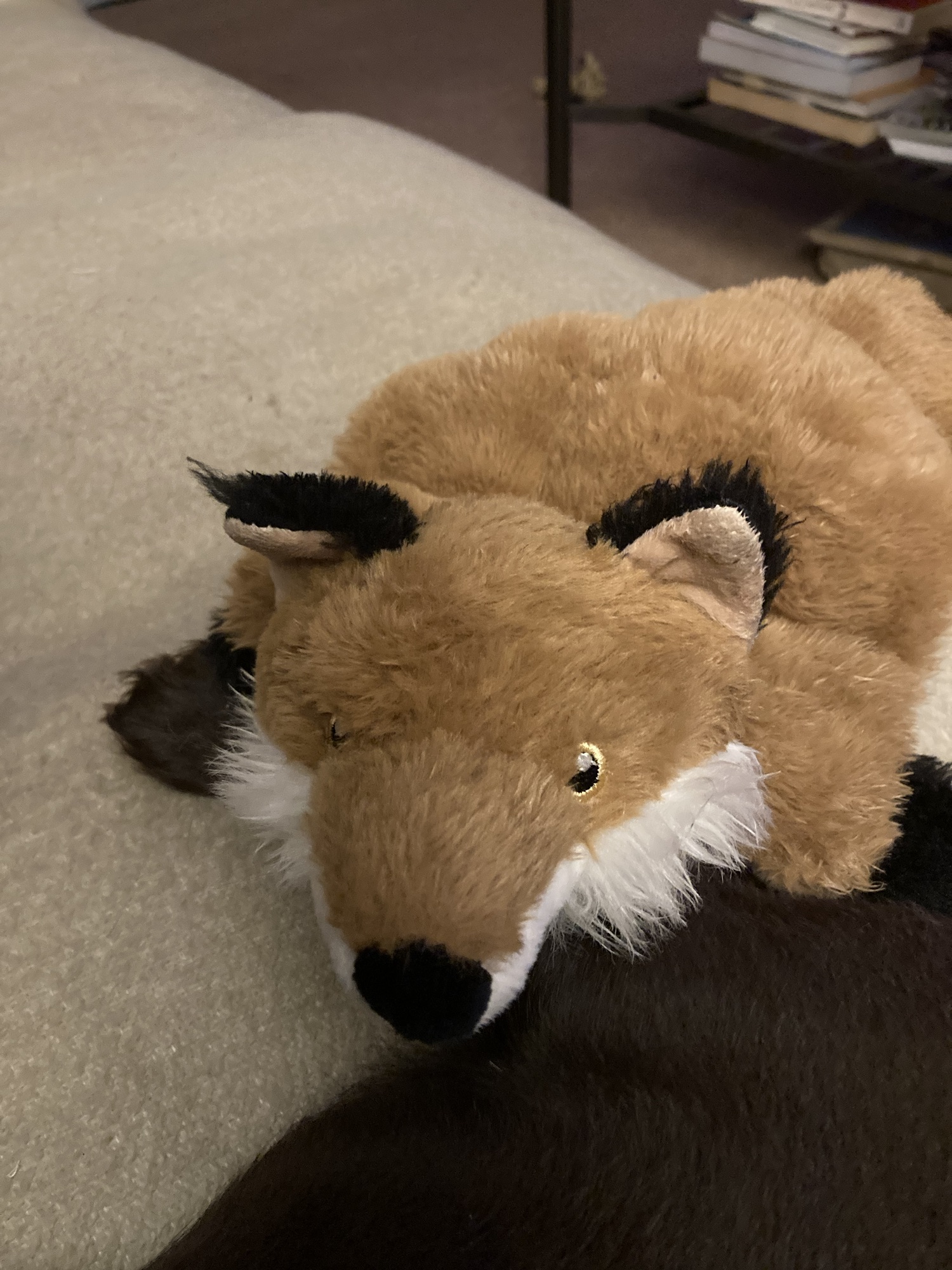 Mr Fox – Tales, Tails and Talus