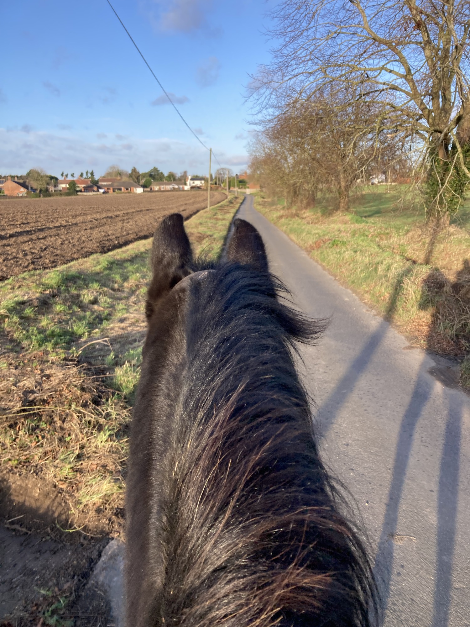 Finger food – Tales, Tails and Talus